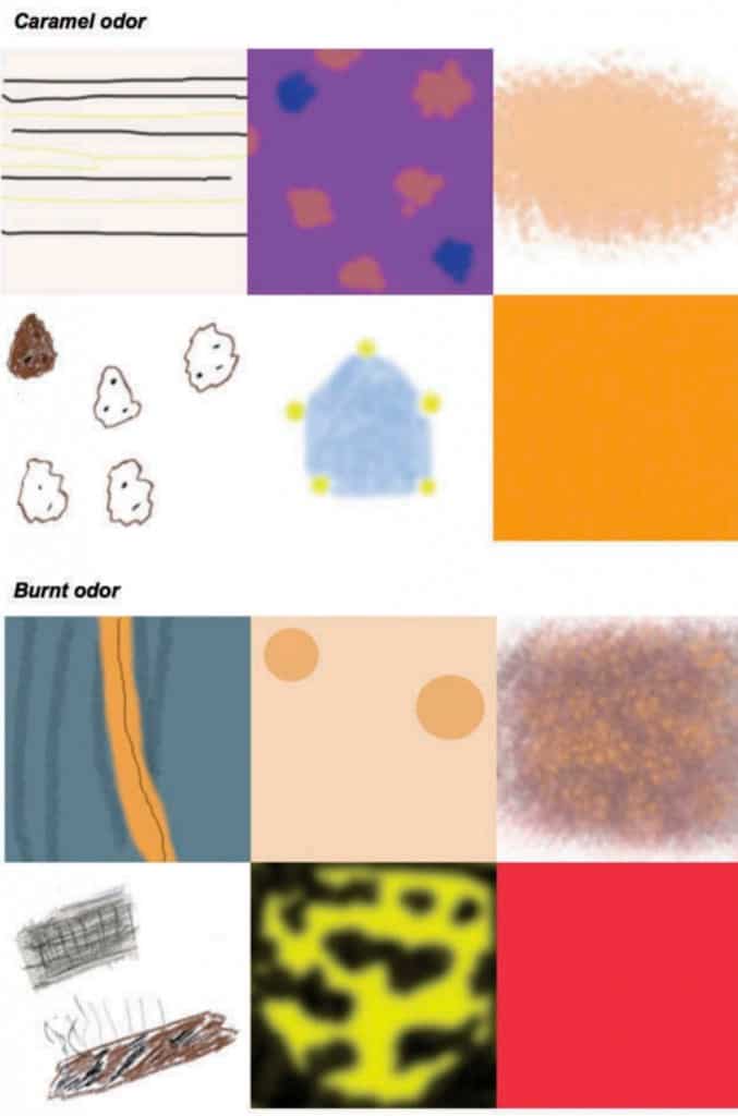 Chocolate Smells Pink and Stripy: Synesthesia and Smells - Cognitive ...