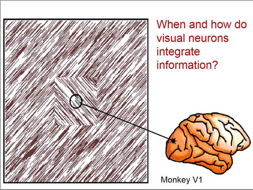 Why Do People, But Not Cameras, Consciously See? - Cognitive ...